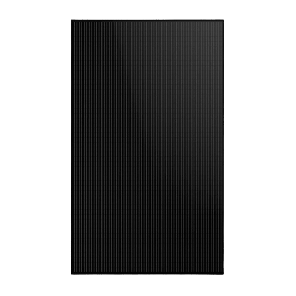 Renee Bruner - Freedom Solar